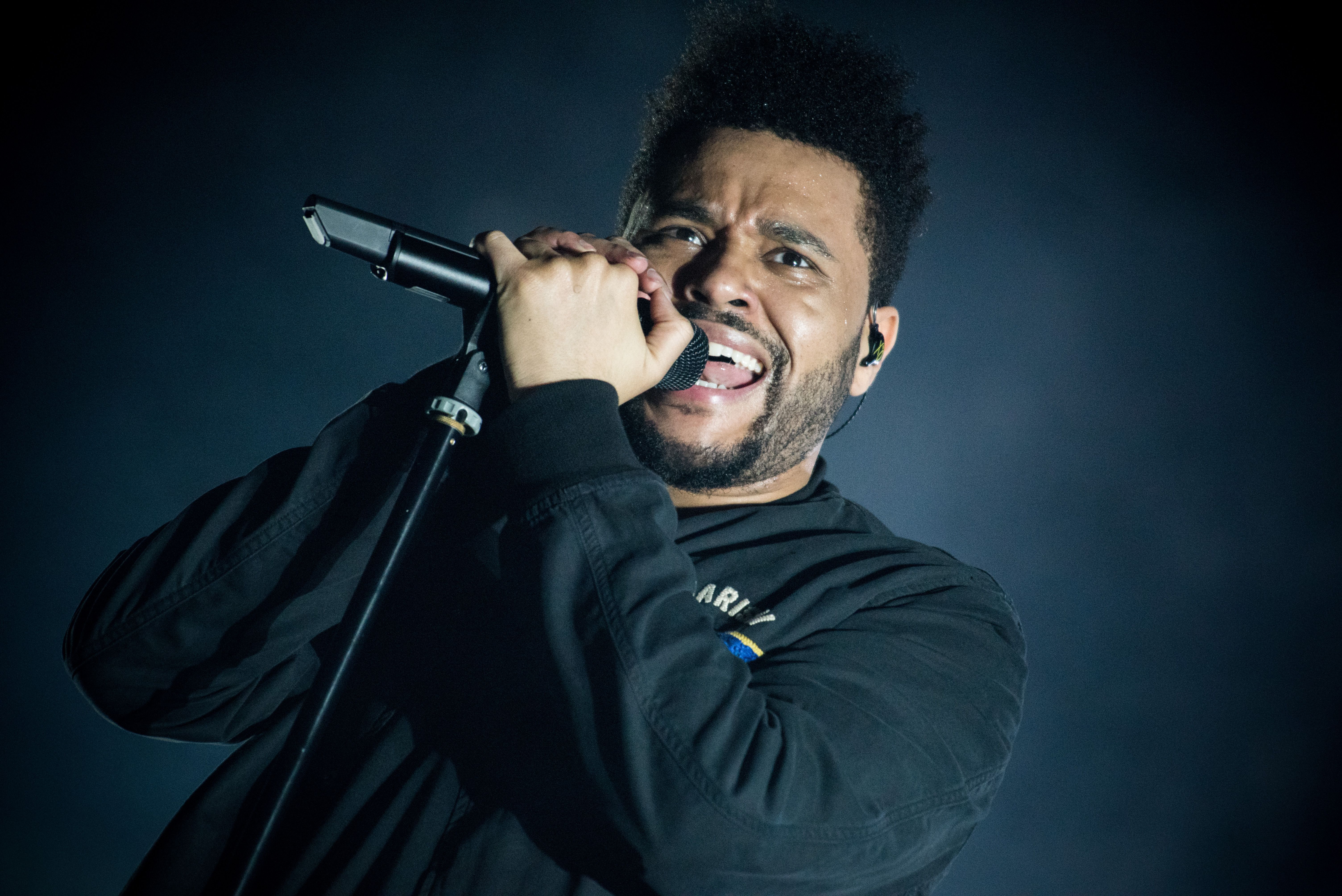 Weeknd Net Worth 2024: Updated Wealth Of The Megastar