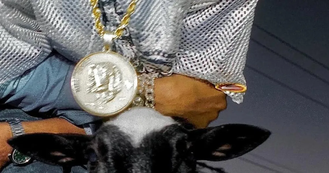 Mike Dimes Reminds Fans Who He Is On Banger "Lamb Talk"