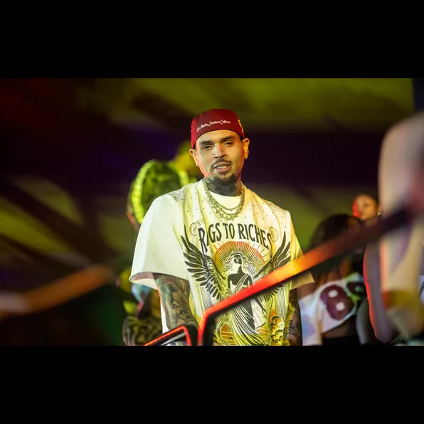 Chris Brown Fighting To Leave Rihanna Out Of Dog Attack Lawsuit