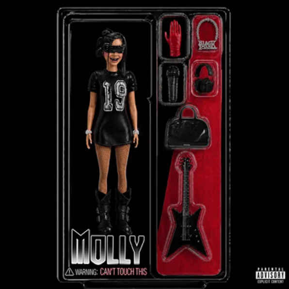 Can't Touch This — Song by Molly Santana