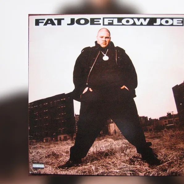Fat Joe Celebrates 29 Years Since His Debut Album Was Released, So We ...