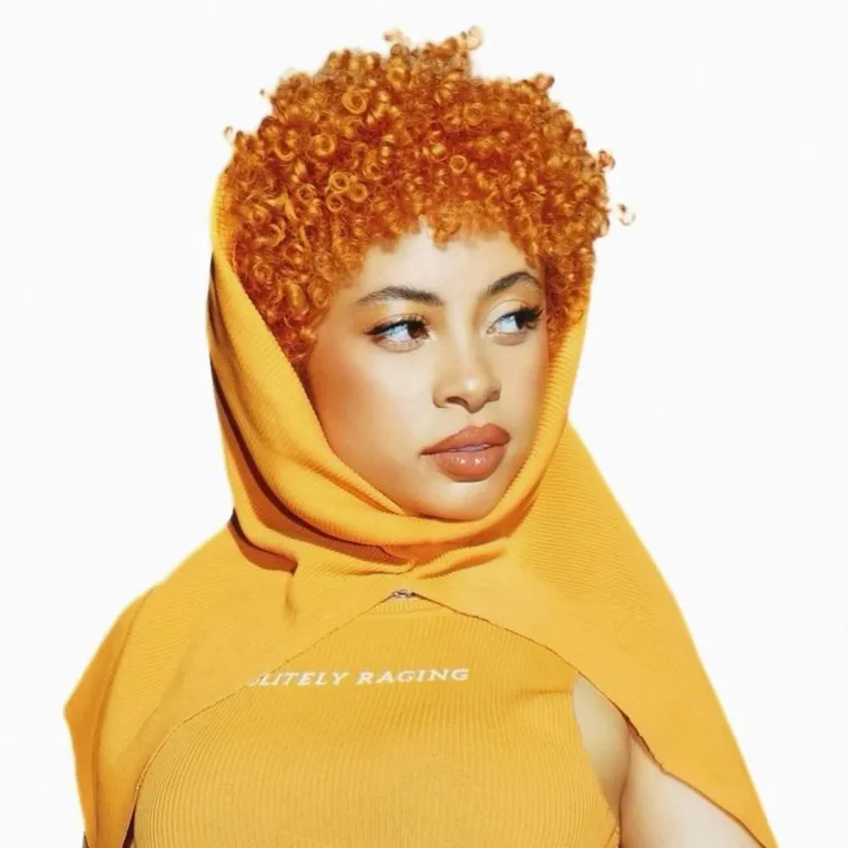 Pretty Privilege - Song by Ice Spice