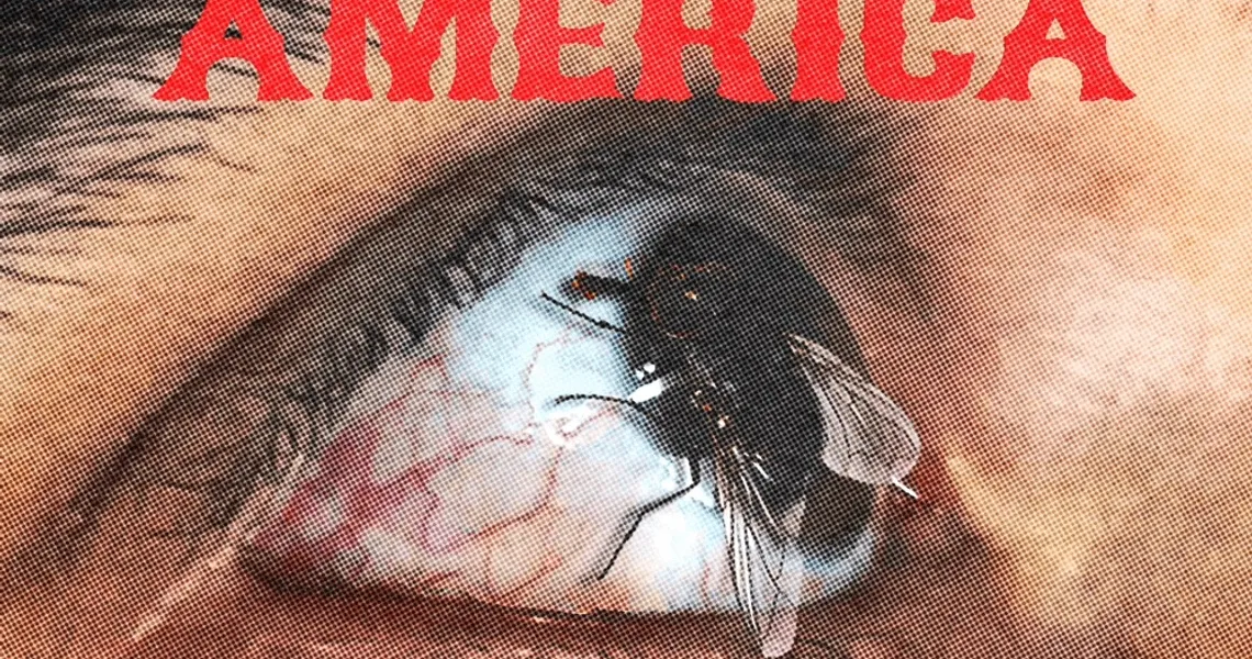 City Morgue Is Calling It Quits With Their Final Record Together "My ...