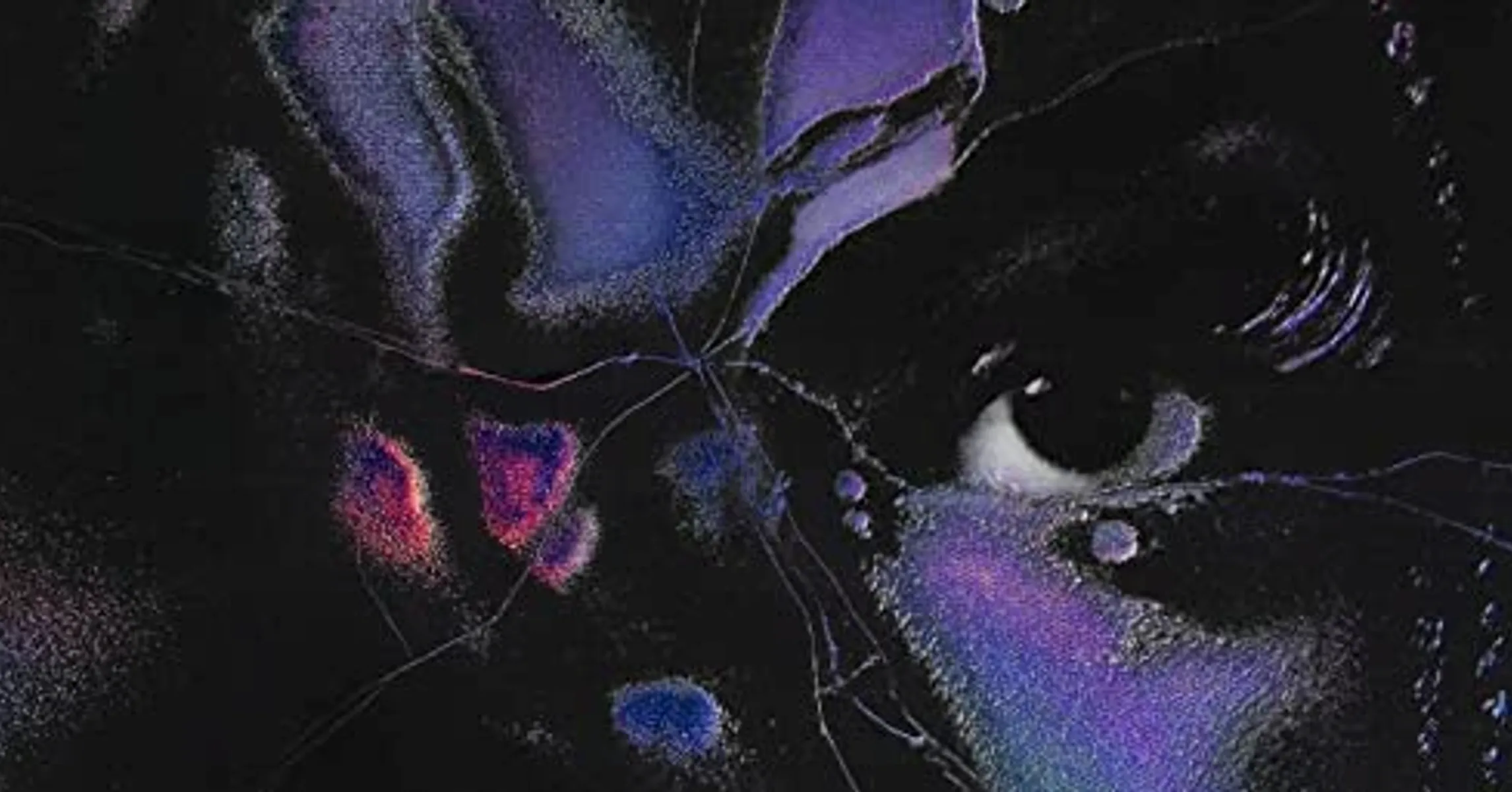 Lancey Foux Finally Gives "All Night Long" Official Release