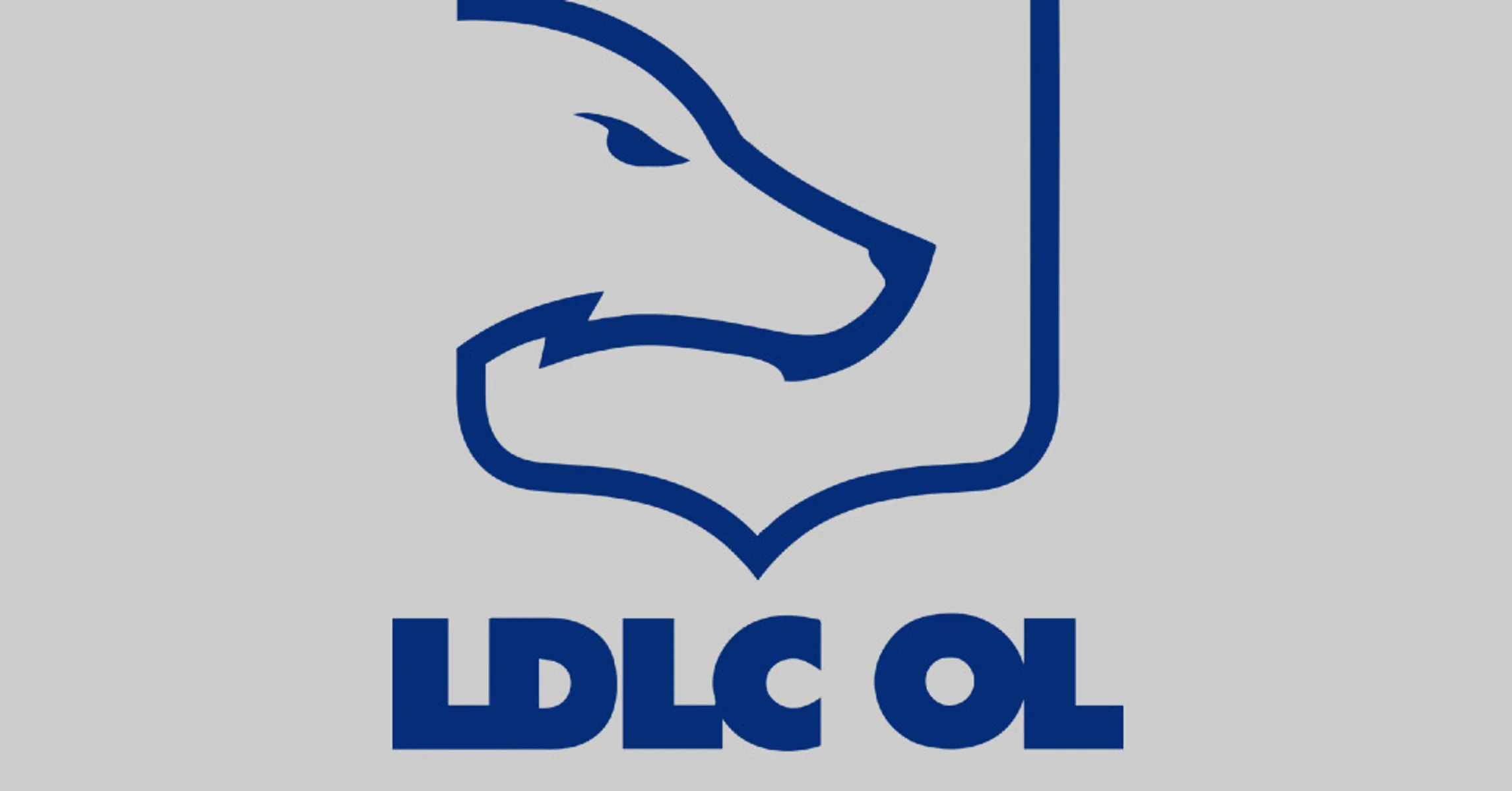 Legendary Esports Team LDLC OL Shuts Down
