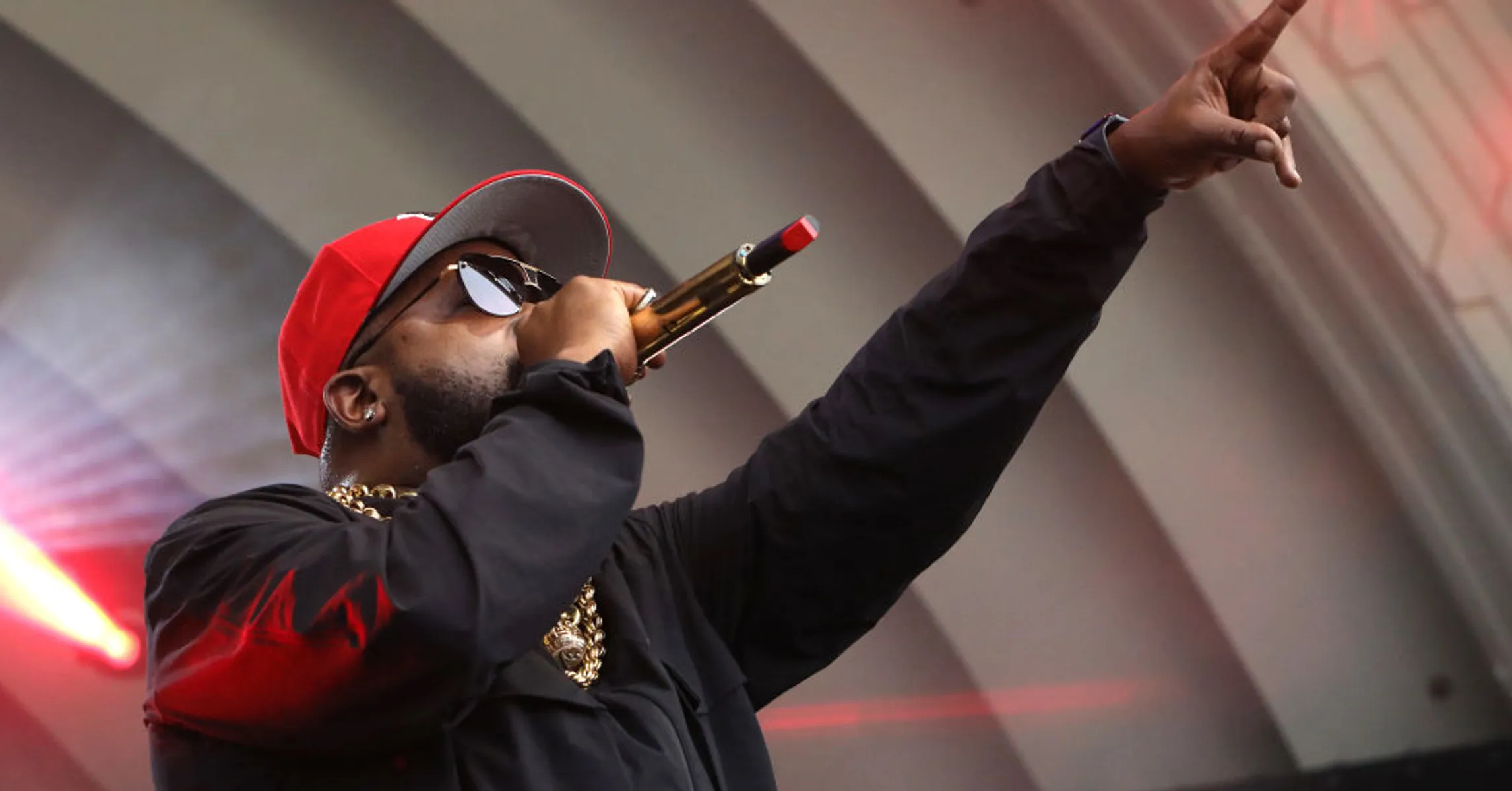 Big Boi Tries To Control Freaked Out Owl During College Concert: Watch