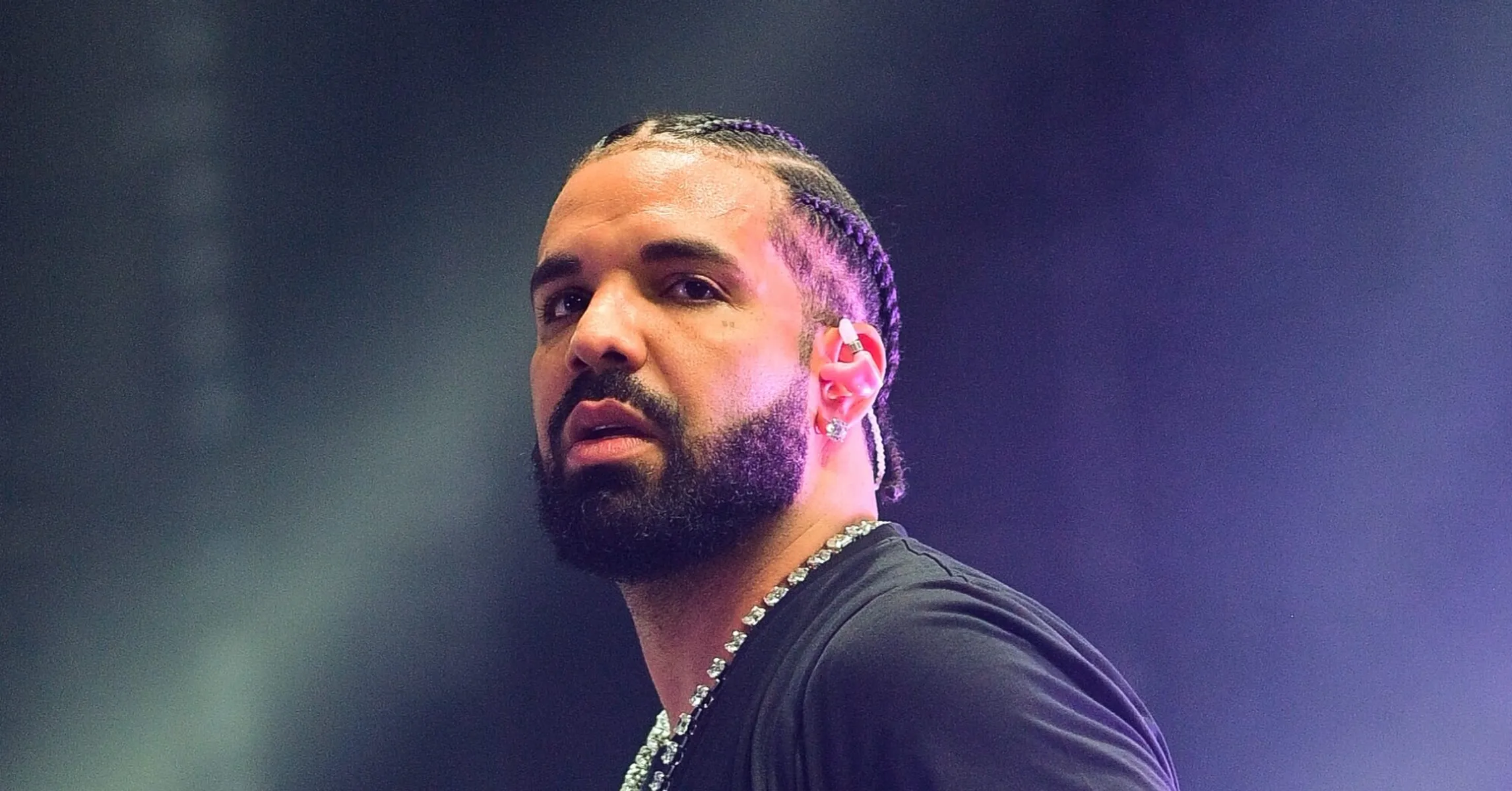 Drake's Security Tackles Yet Another Alleged Trespasser In Front Of His ...