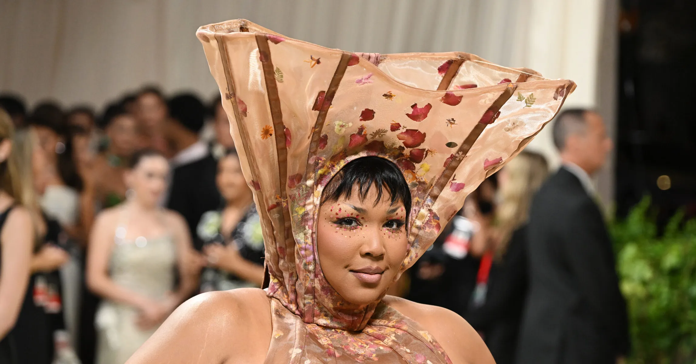 Lizzo's Wild Tree-Inspired Met Gala Dress Leaves Social Media Users Split