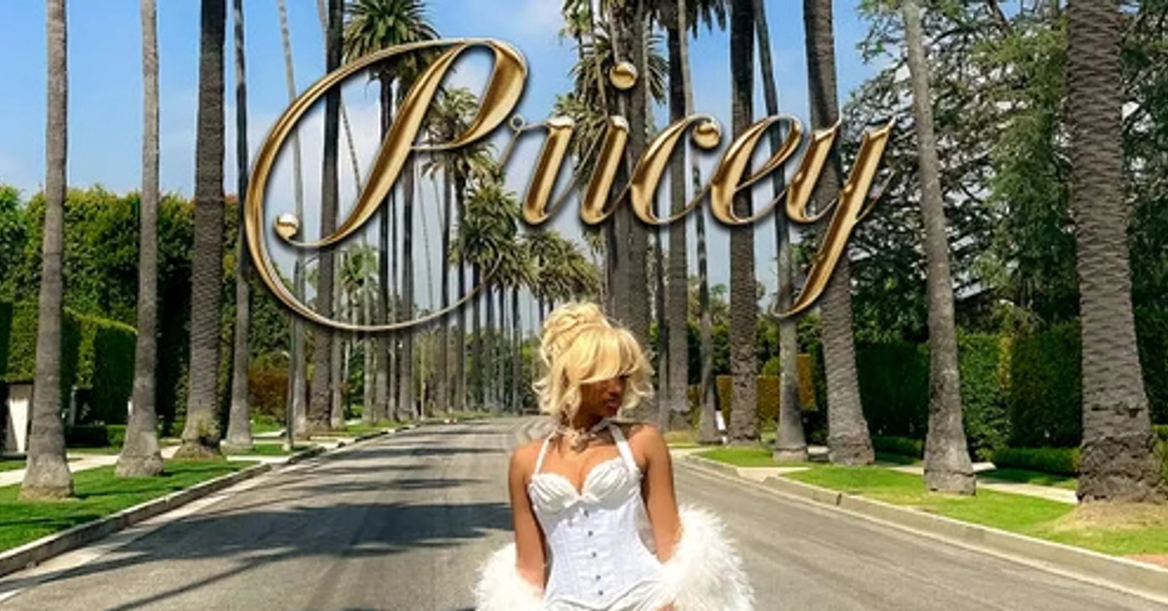 BlakeIANA Is Letting Men Know She's "Pricey" On Moneybagg Yo-Assisted ...