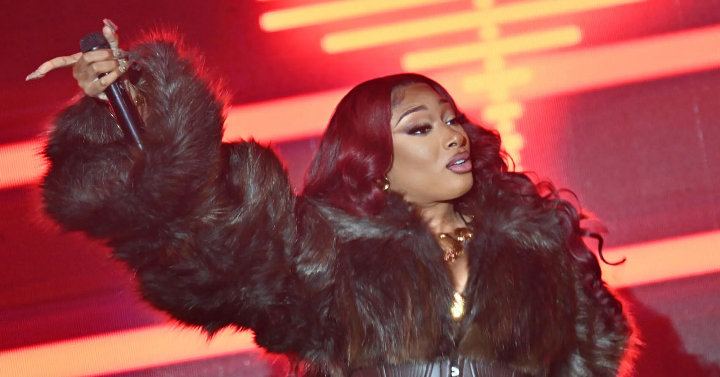 Megan Thee Stallion Endorses Kamala Harris During Rally Performance: Watch