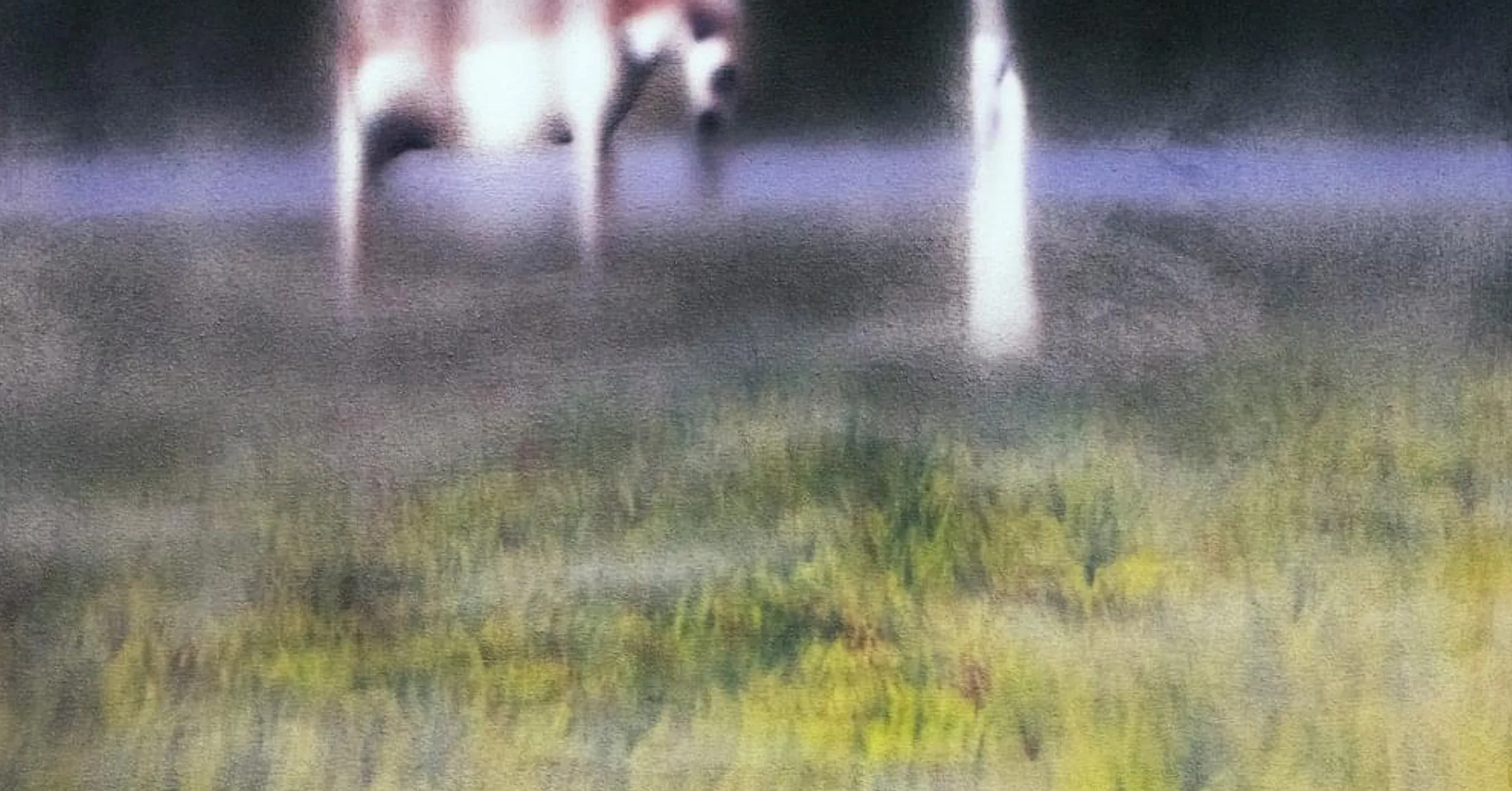 Navy Blue Releases His First Album Since Def Jam Split With "Memoirs In ...