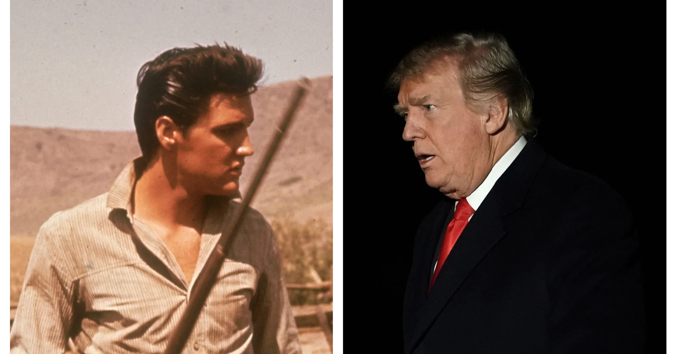 Donald Trump Gets Shut Down After Claiming He Looks Like Elvis