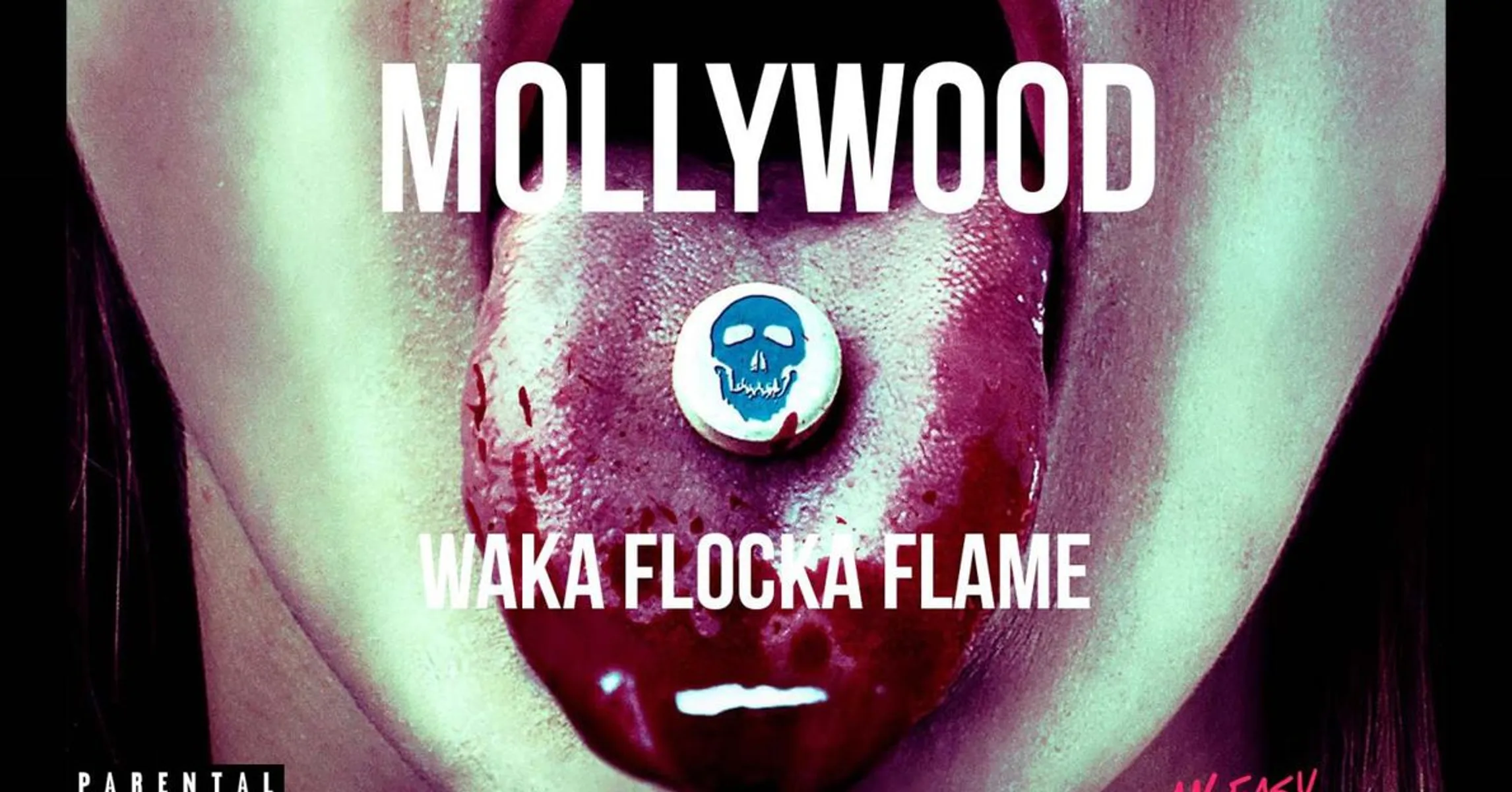 Waka Flocka Enlists Lil Wayne, Future, Gucci Mane For "Mollywood" Mixtape