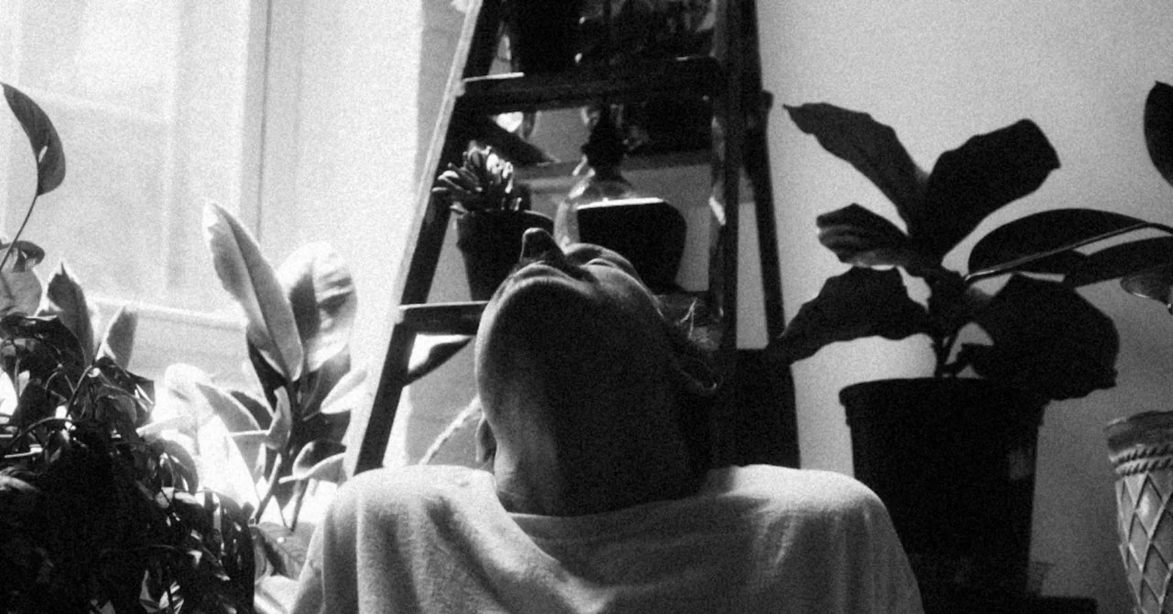 Asher Roth Announces "Greenhouse Effect Vol. 3" With A Fan-Produced 3-Pack