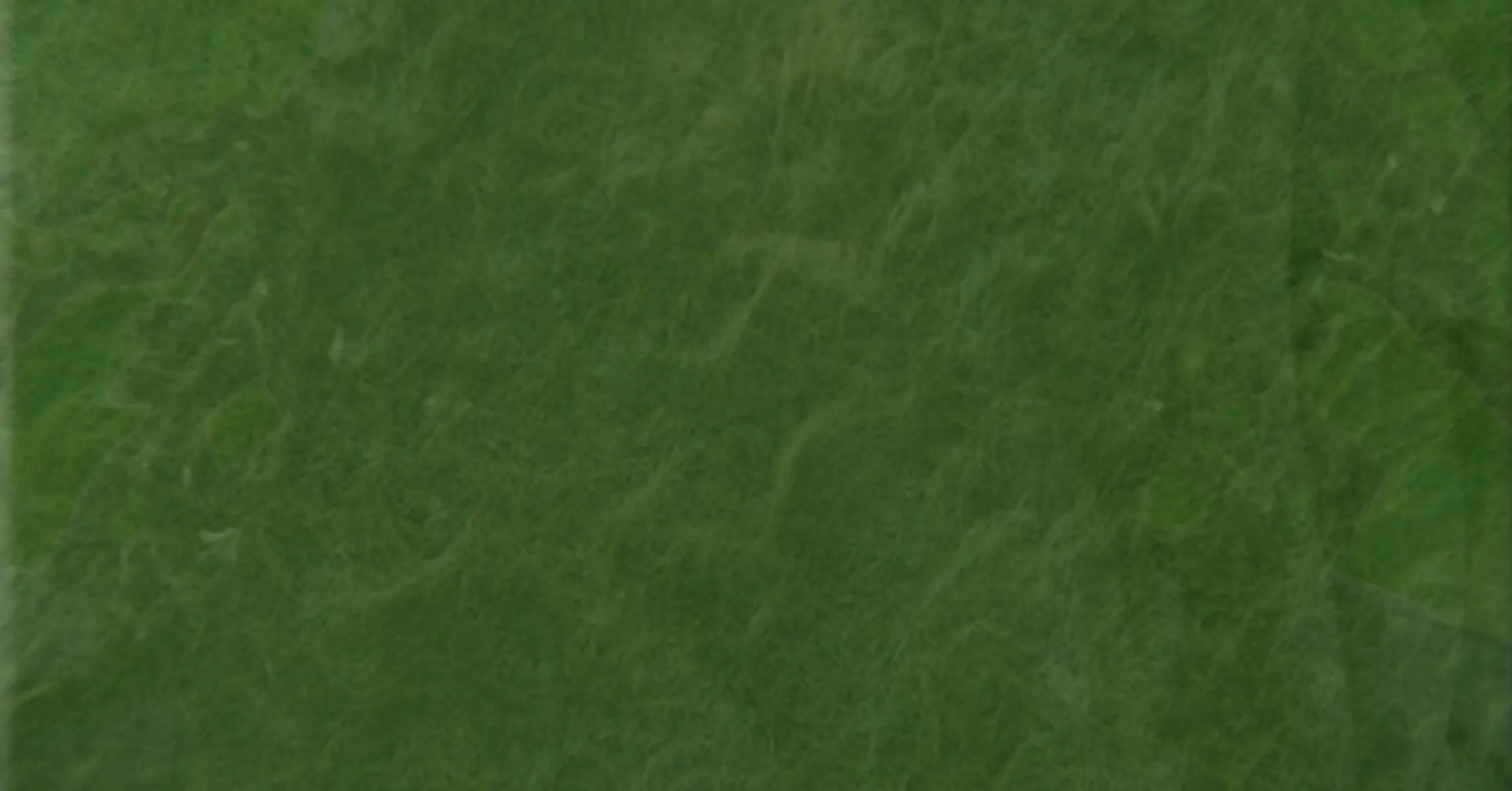 Ab-Soul Returns With Kembe X & ICECOLDBISHOP On "Back At It"