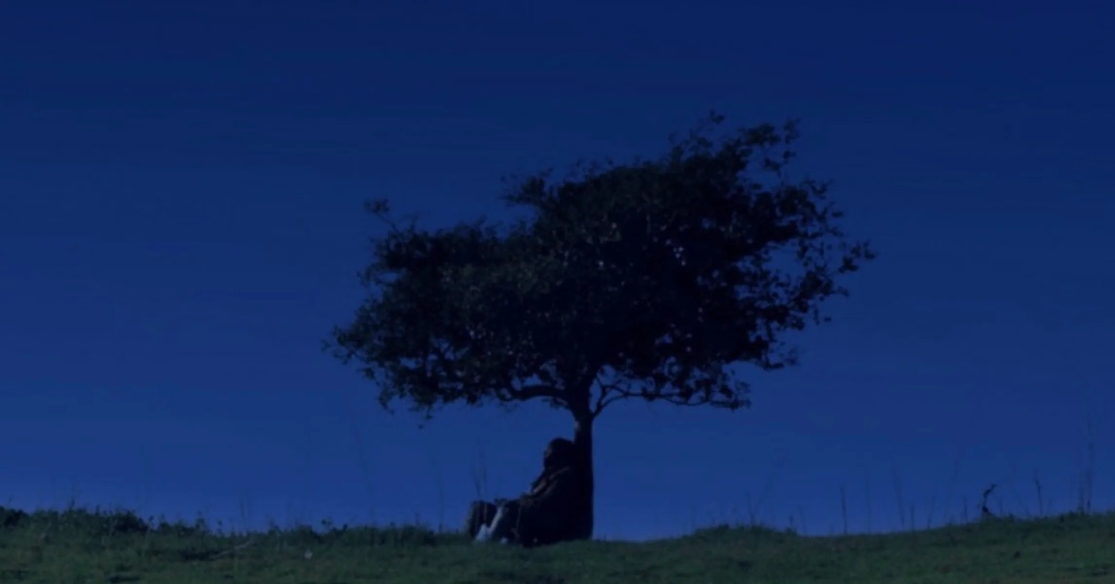 Rexx Life Raj Is Craving "Balance"