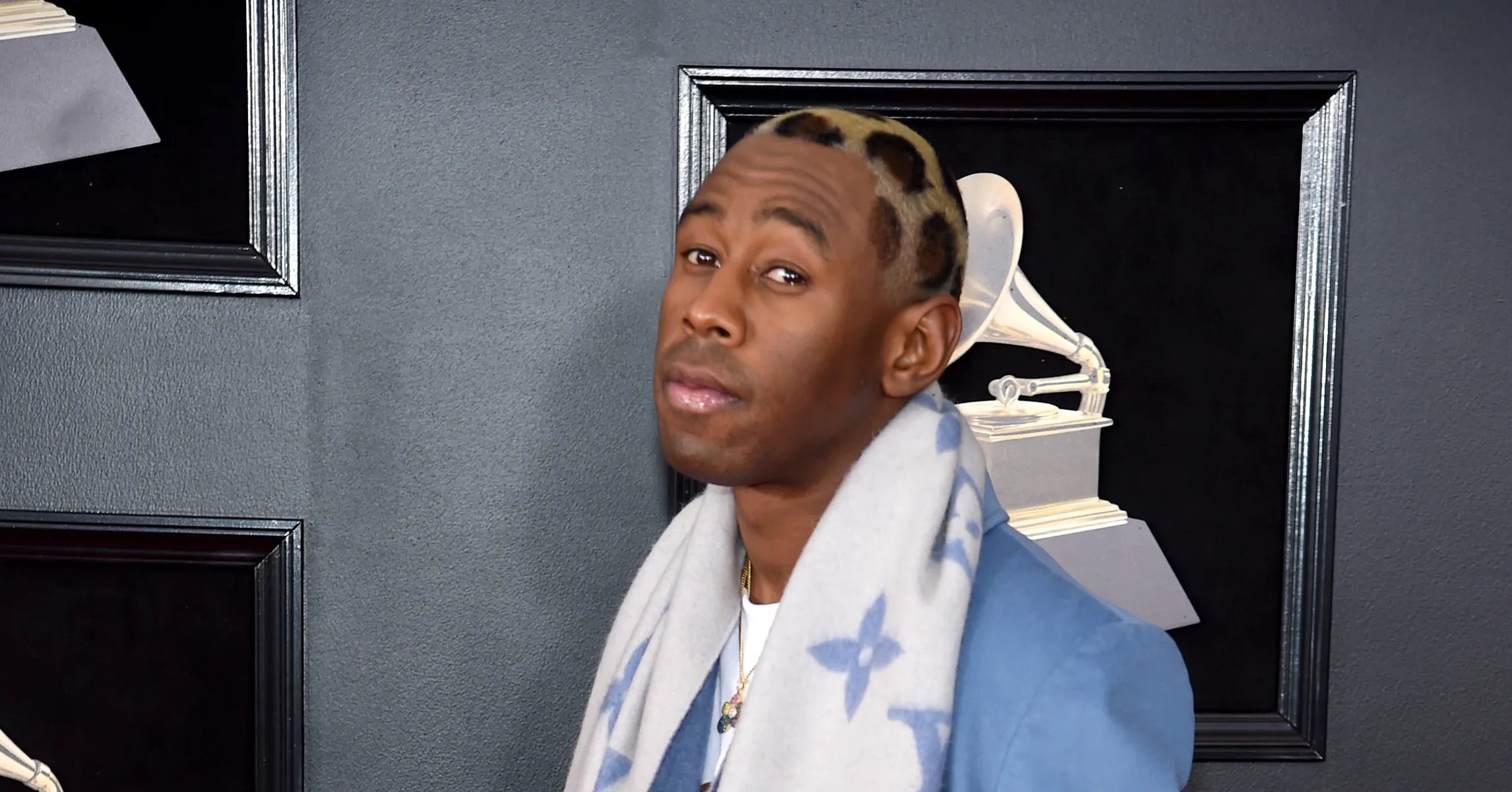 Tyler, The Creator Arrested on Suspicion of Vandalism