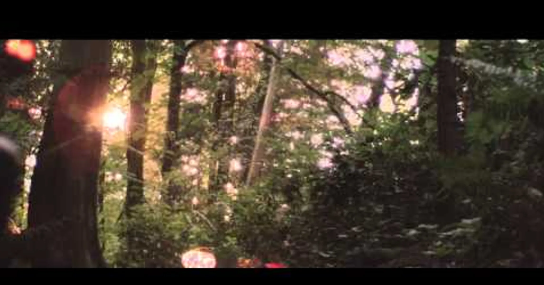 Raz Simone "Cheap Money" Video