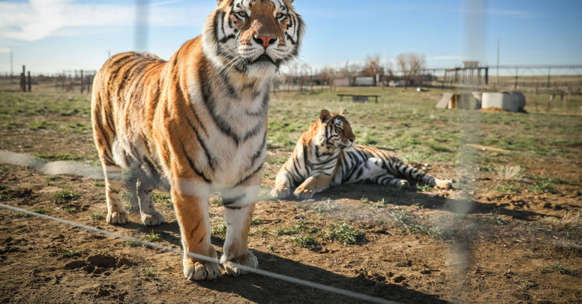 Carole Baskin Awarded "Tiger King" Joe Exotic's Old Zoo