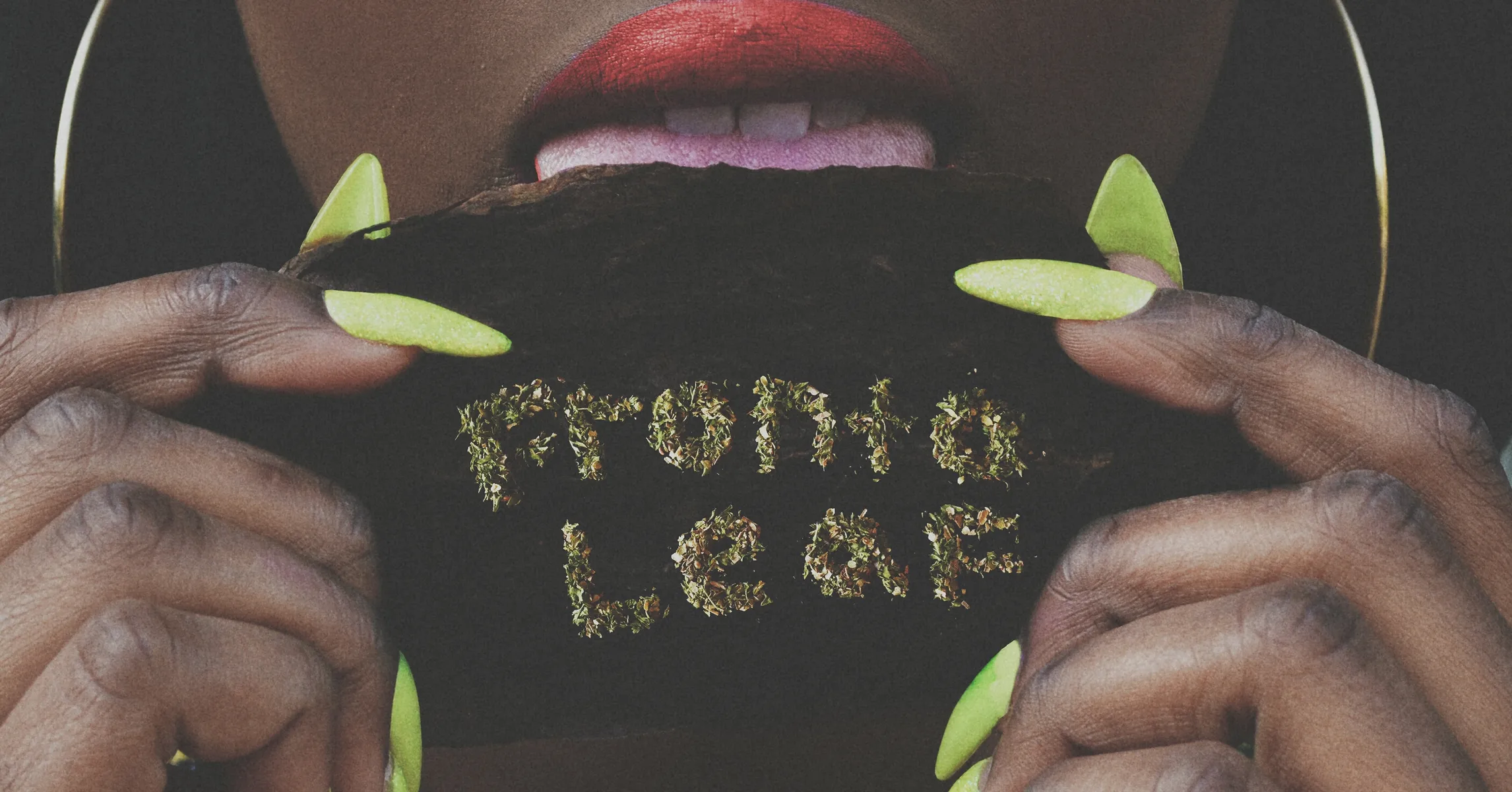 Fronto Leaf