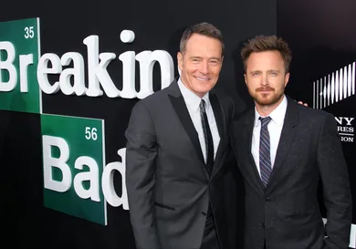 "Breaking Bad" Stars: Where Are They Now? breaking bad stars