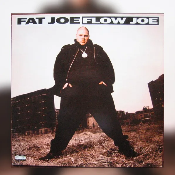 Fat Joe Celebrates 29 Years Since His Debut Album Was Released, So We ...