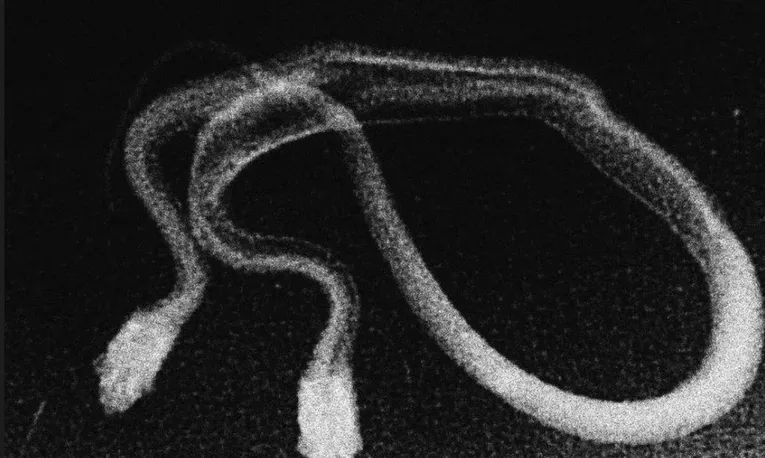 LUCKI Drops Off Two Singles On New EP "2 Faced"