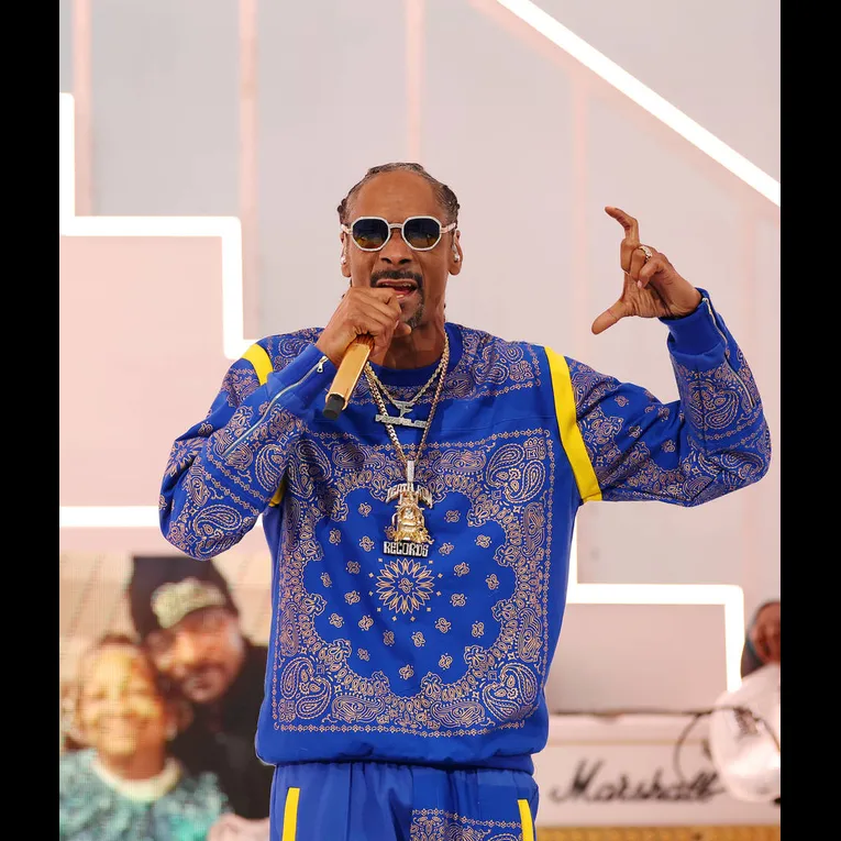 Snoop Dogg Threw Up C's & Did The Crip Walk At Super Bowl