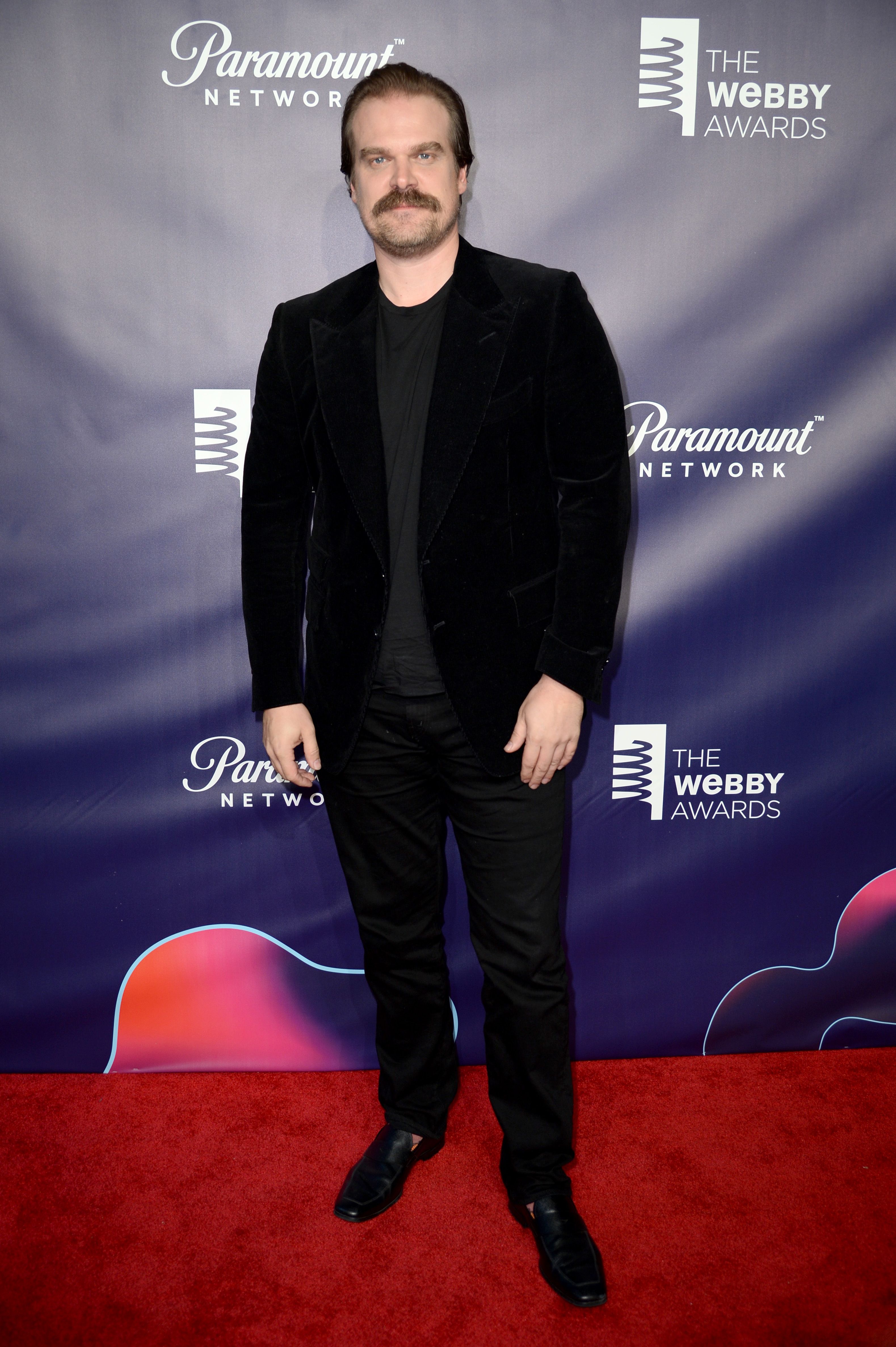 "Stranger Things" Star David Harbour Talks His Bipolar & Mental Asylum ...